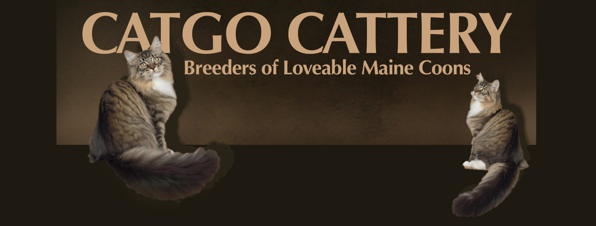 Catgo – Catgo Cattery